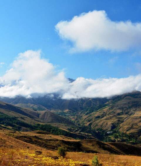 LRAPA Overview | Lane Regional Air Protection Agency